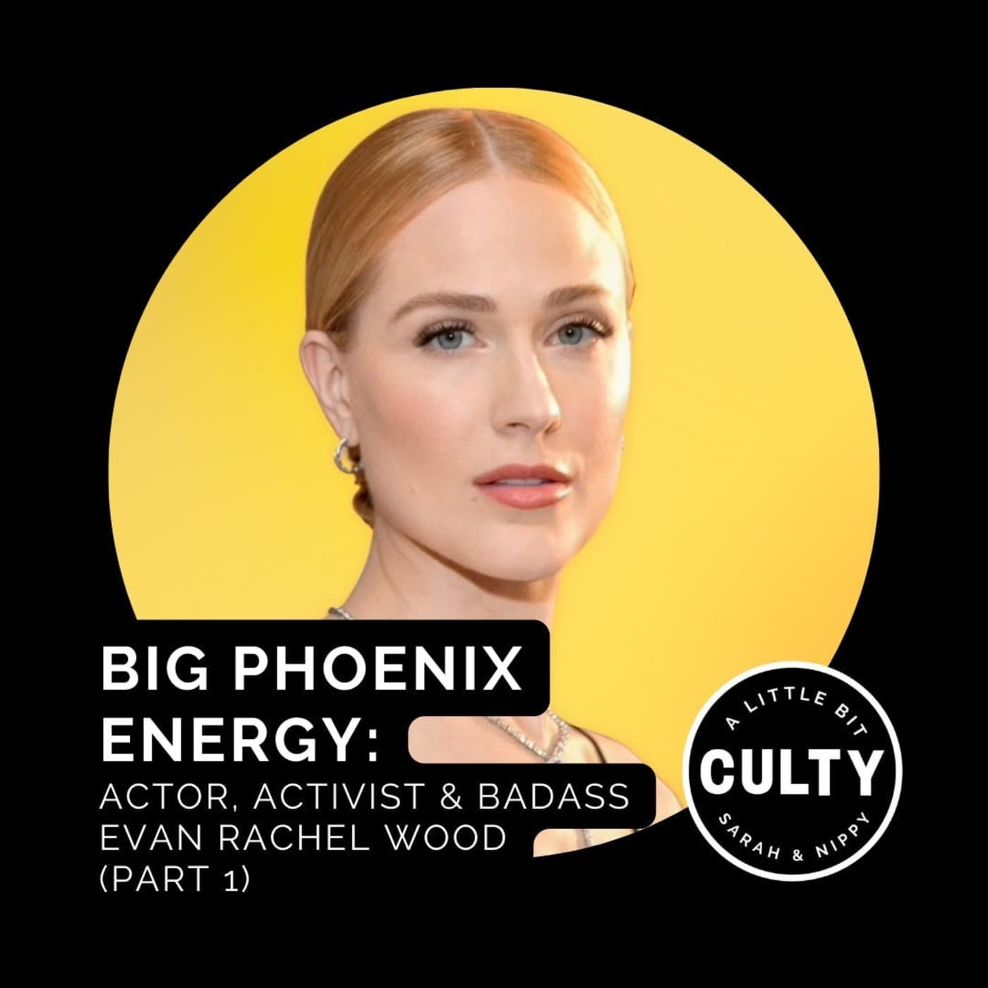 Big Phoenix Energy: Actor, Activist & Badass Evan Rachel Wood (Part 1 ...
