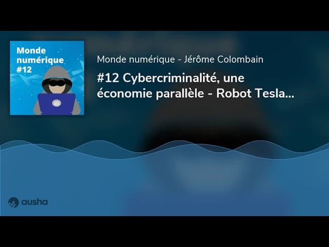 Cybercriminalité, une économie parallèle - Robot Tesla, c'est crédible ...