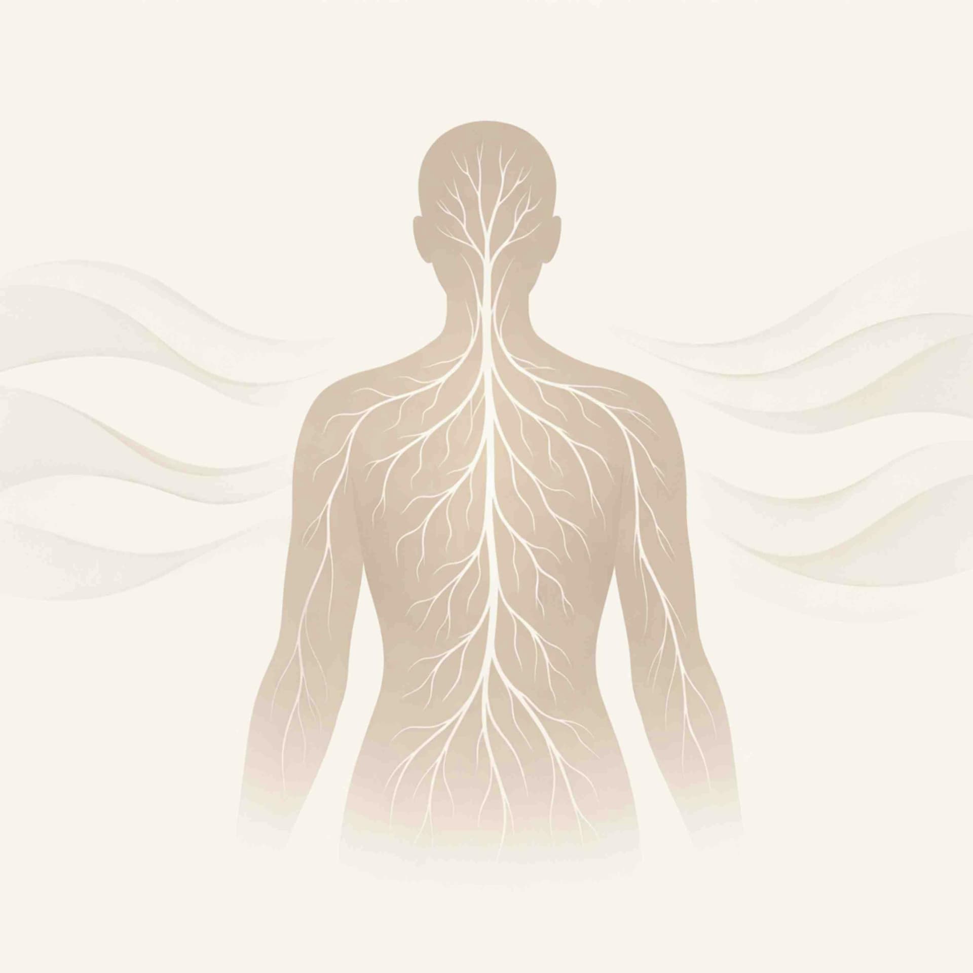 3945: Everything You Need to Know About Your Nervous System by Kate ...