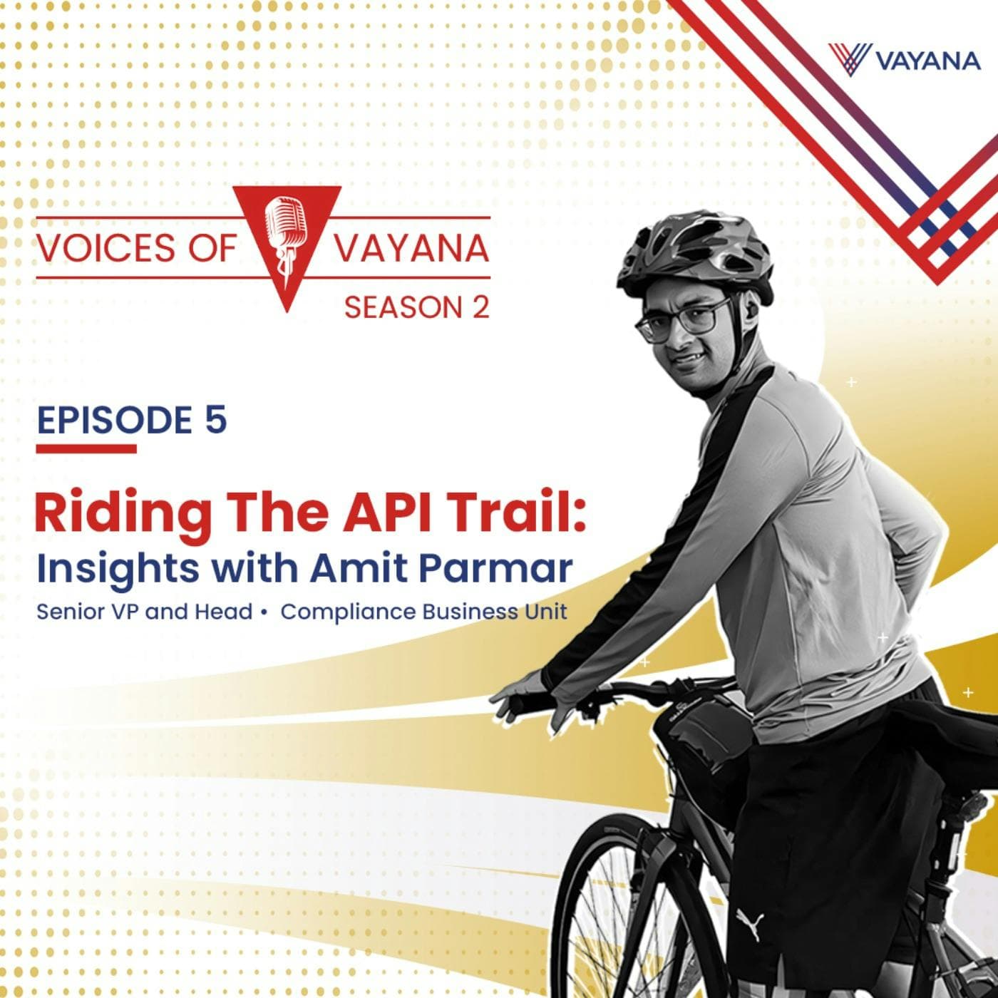 Riding The API Trail: Insights With Amit Parmar | Bingepods - Best ...