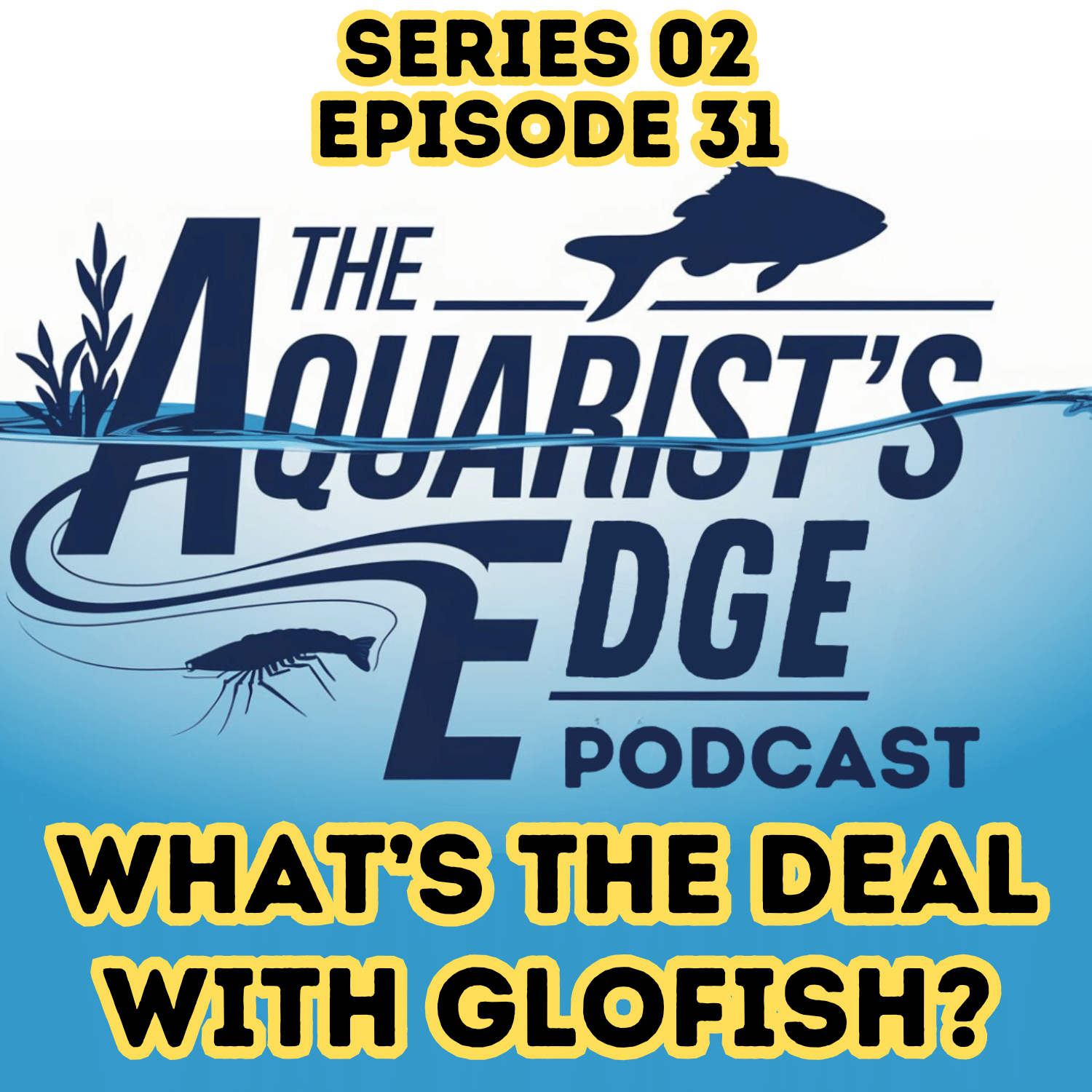 GloFish Explained - Genetics, Care, Ethics - All You Need To Know | The ...