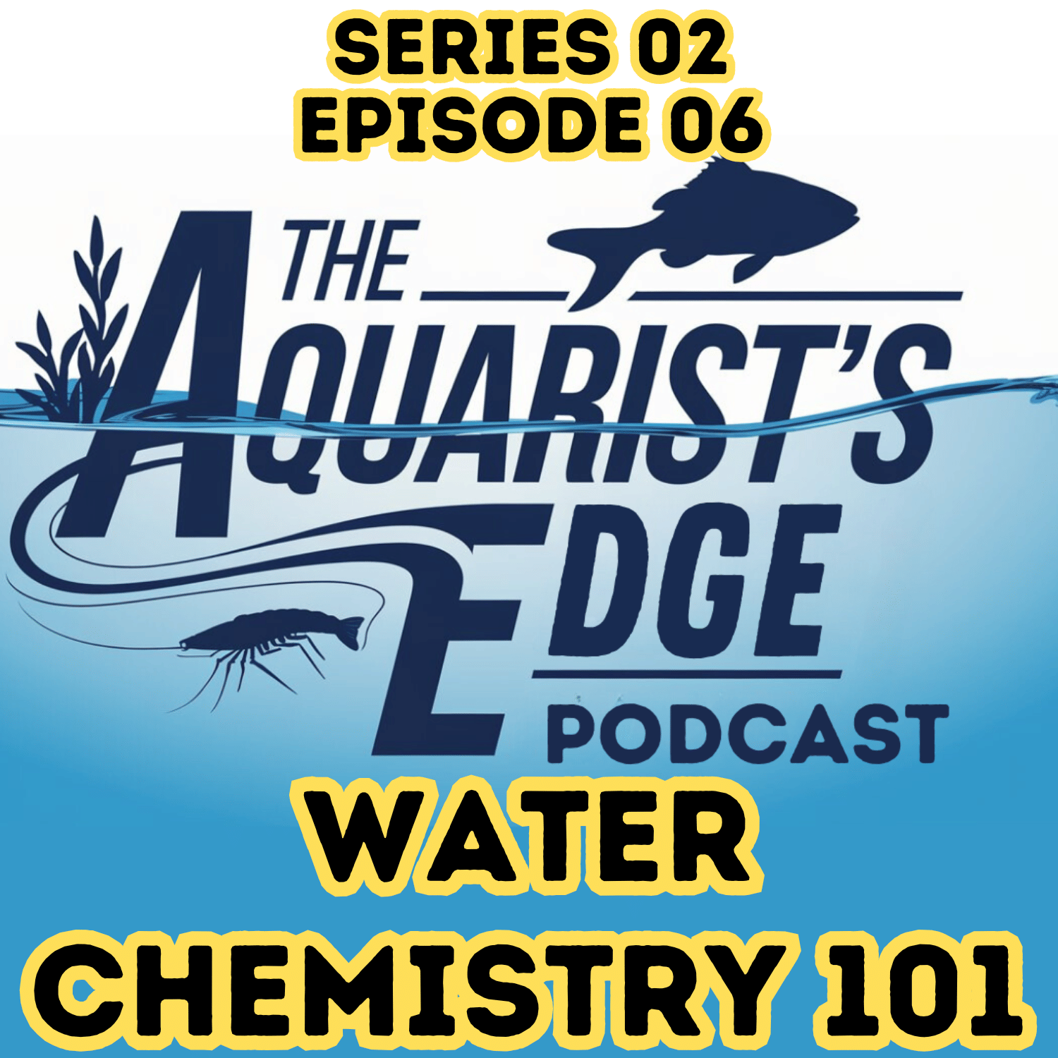 How To Understand Water Chemistry In My Aquarium | The Aquarist's Edge ...