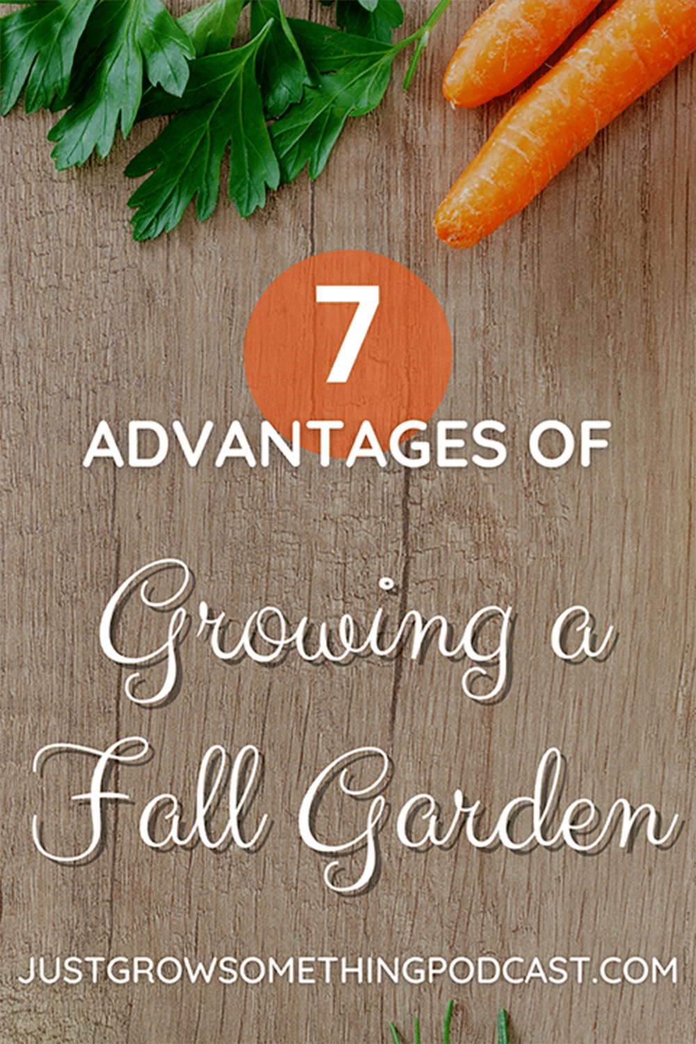 Why You Should Grow a Fall Garden | Just Grow Something with Karin Velez