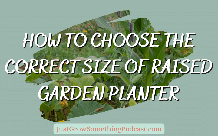 How to Decide Raised Planter Bed Dimensions | Just Grow Something with ...