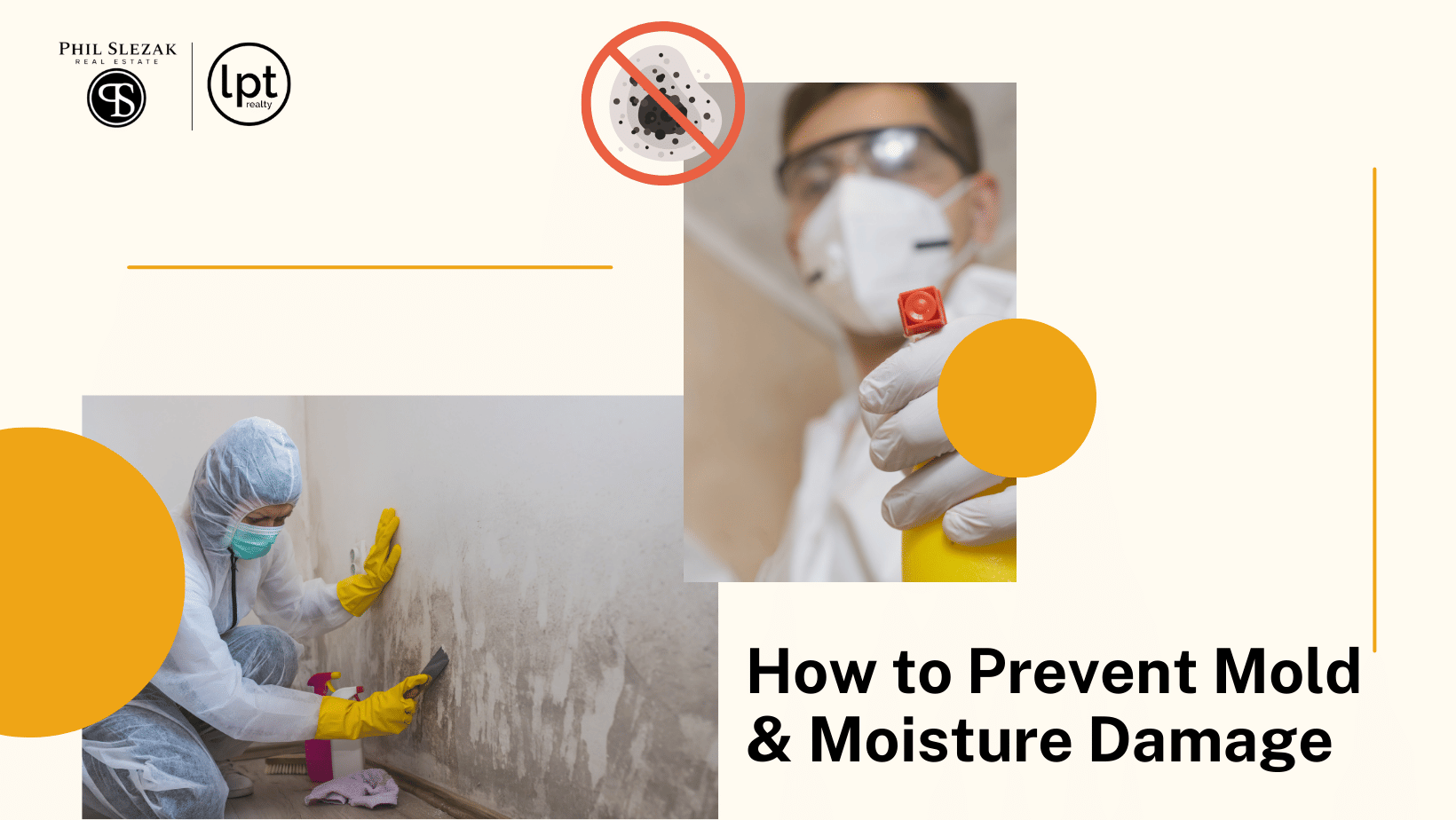 How to Prevent Mold and Moisture Damage in Your Raleigh Home