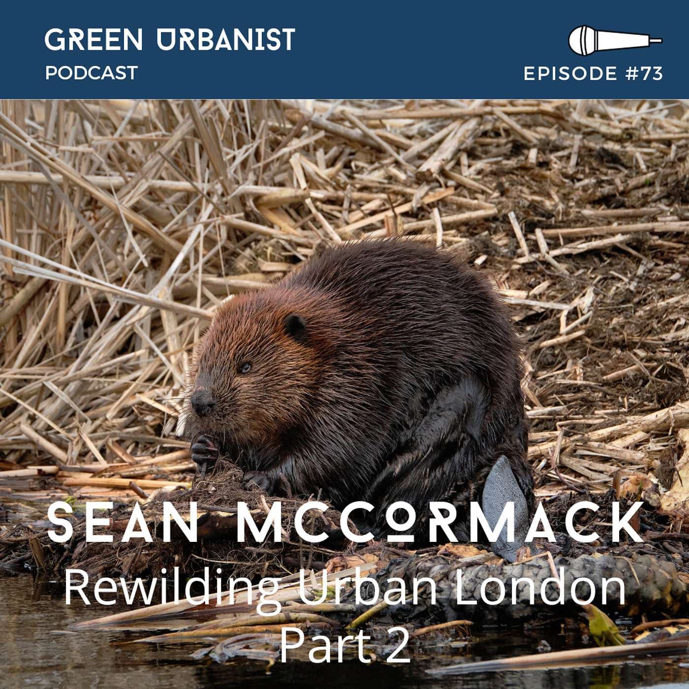 #73: Sean McCormack - Rewilding Urban London (Part 2) | Green Urbanist ...